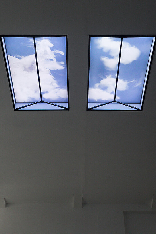 Leandro Erlich. Mirrors | Meer