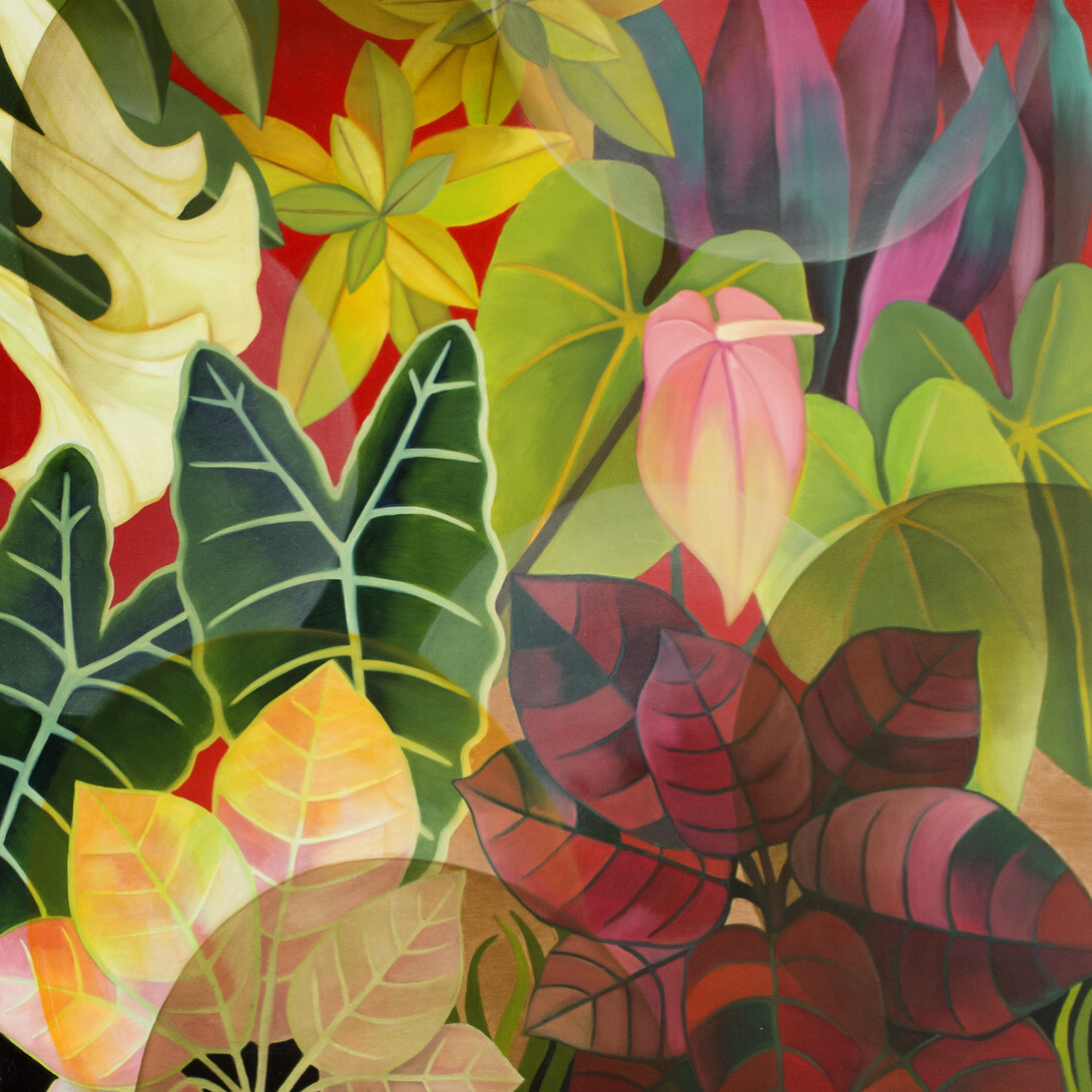 Senaka Senanayake | Meer