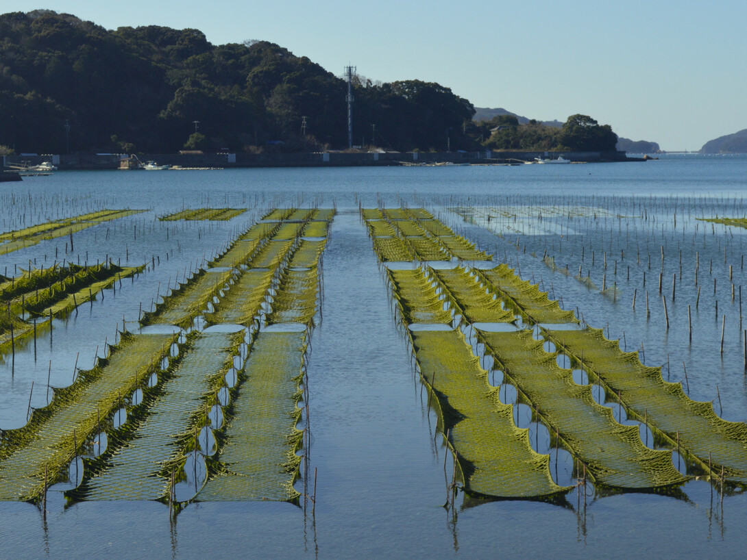Kathleen Mary Drew-Baker | Meer