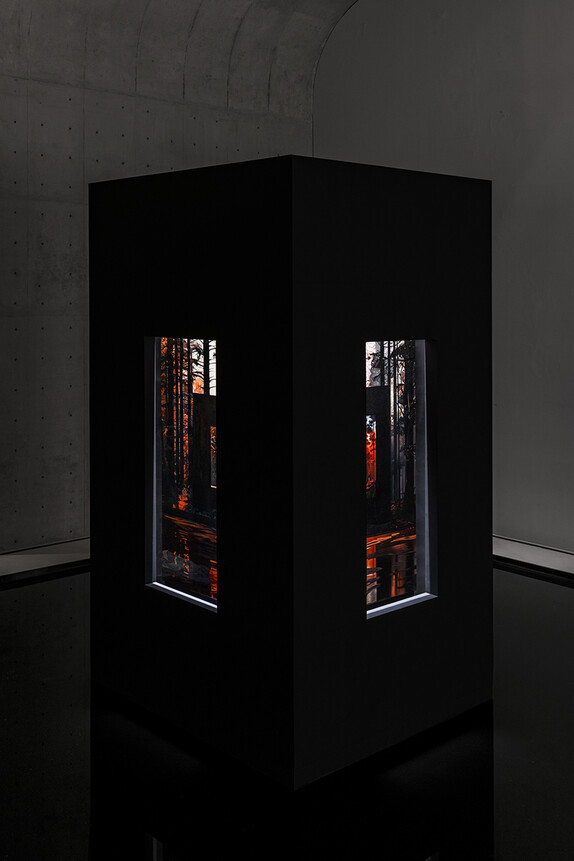 Yang Bodu: black eagle, white eagle | Meer