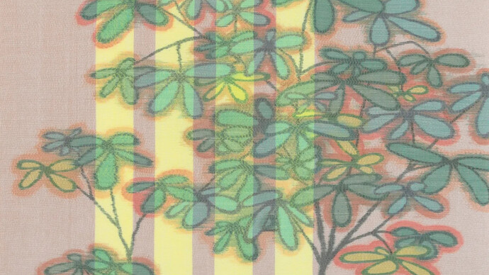 Transient phenomena | Meer