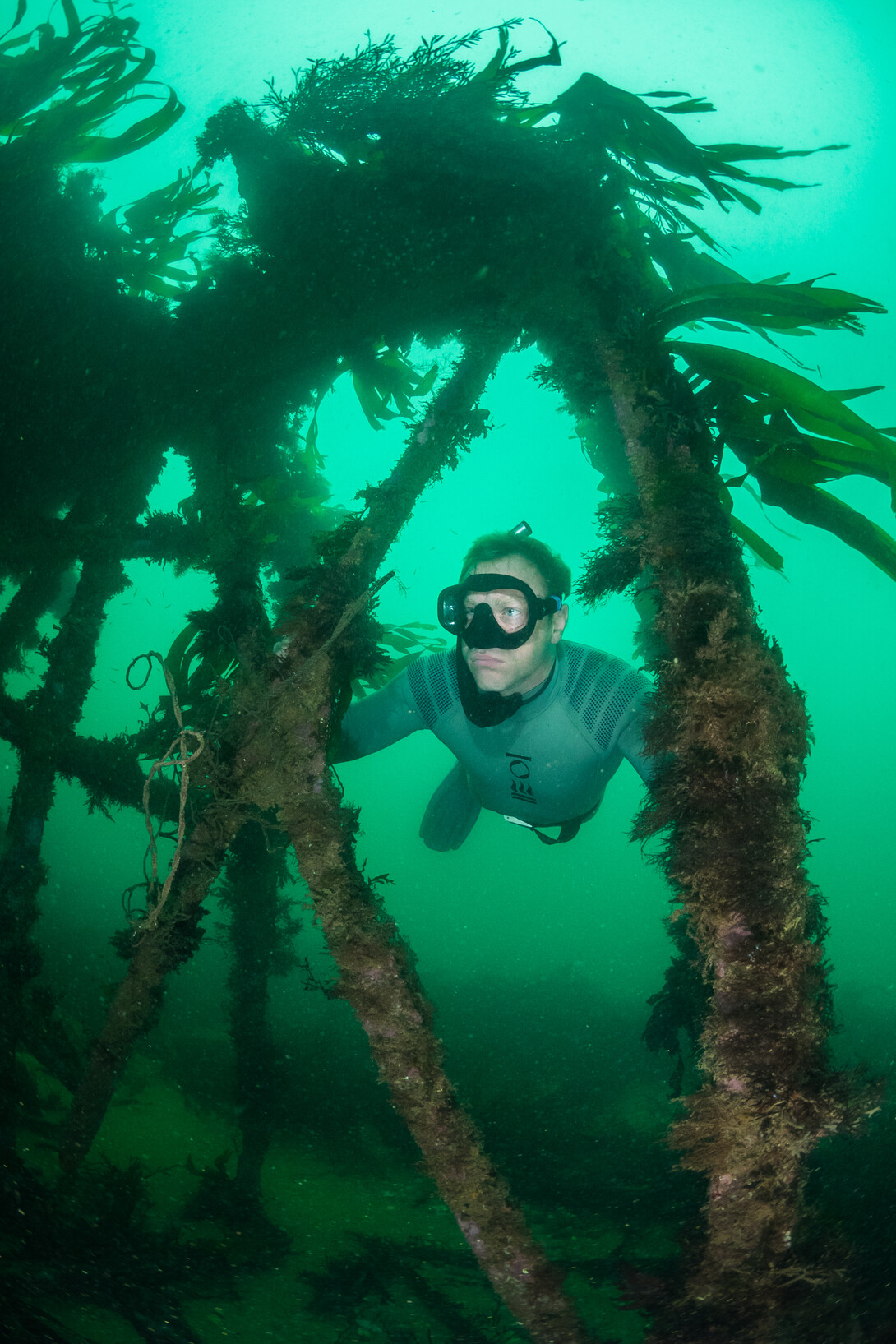 Interview with Andy Torbet | Meer