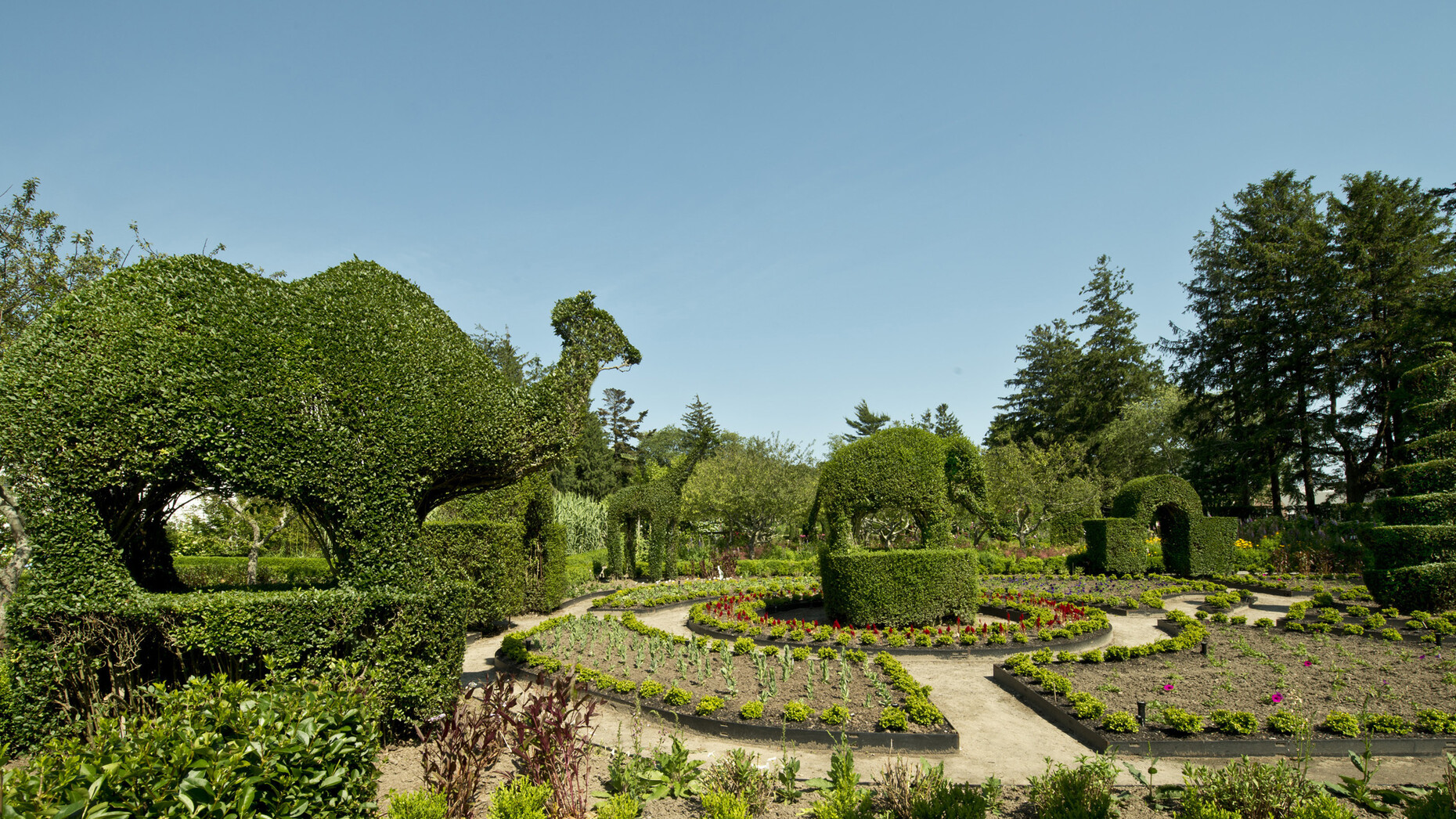 Living sculptures | Meer