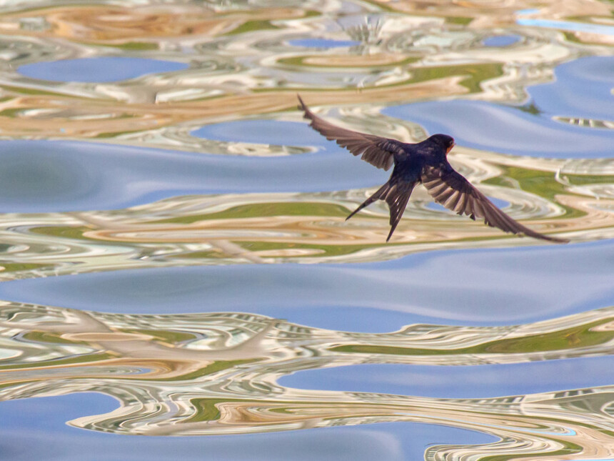 El campo y la nada… | Meer