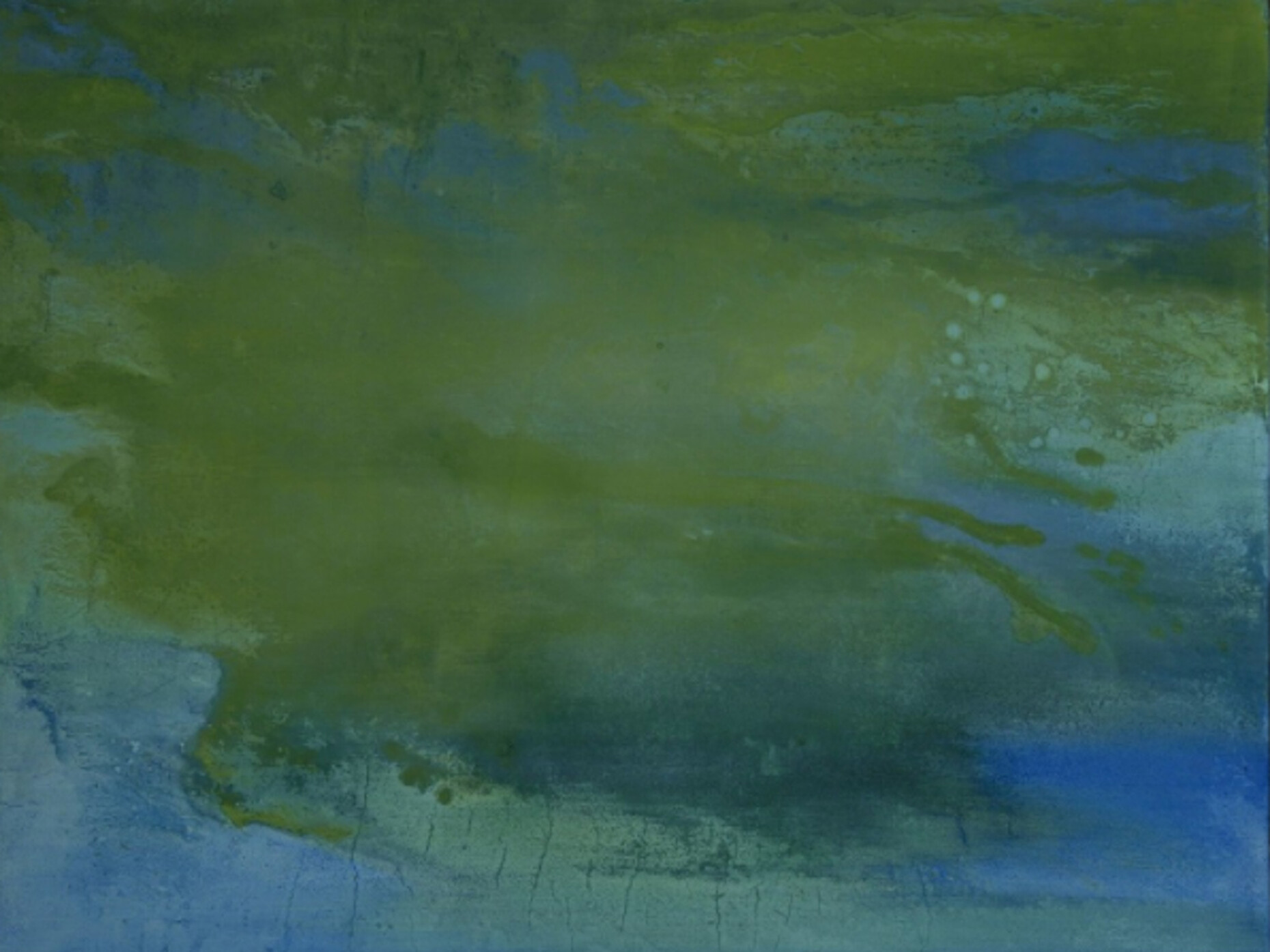 Thiago Rocha Pitta | Meer