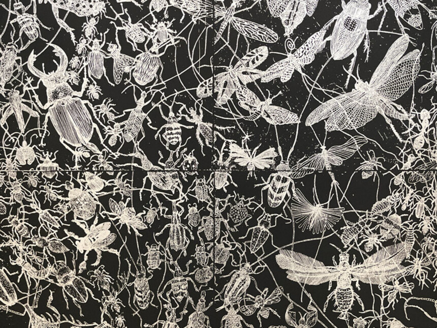 Peripheral visions | Meer