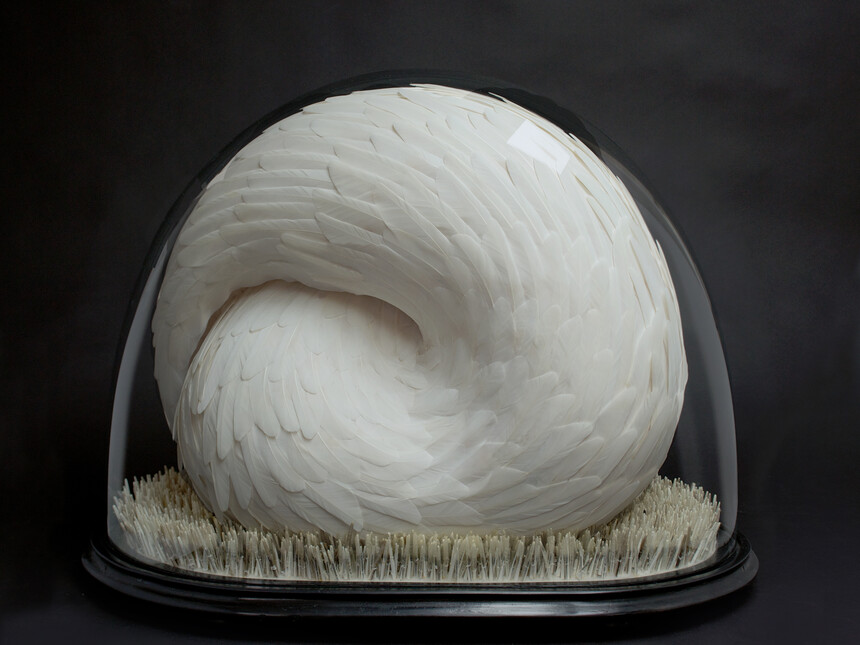 Kate MccGwire. Scissure | Meer