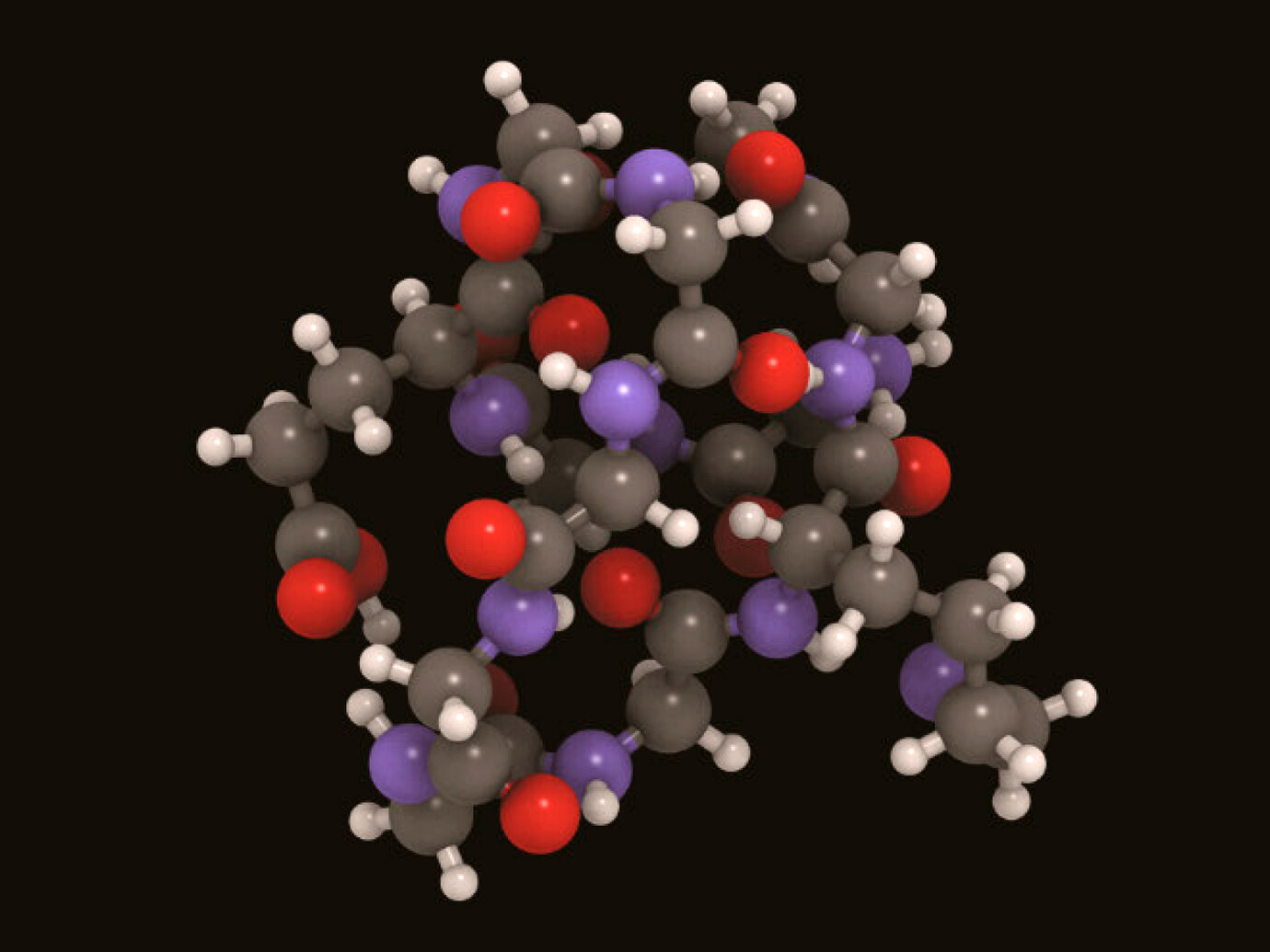 De la panspermia molecular al origen de la vida en la Tierra | Meer