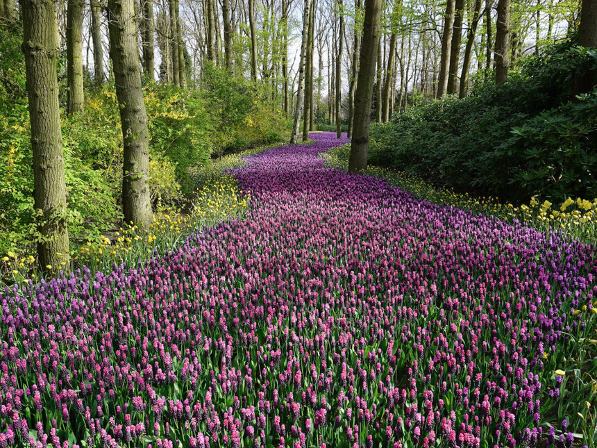 Tempo di Primavera | Meer
