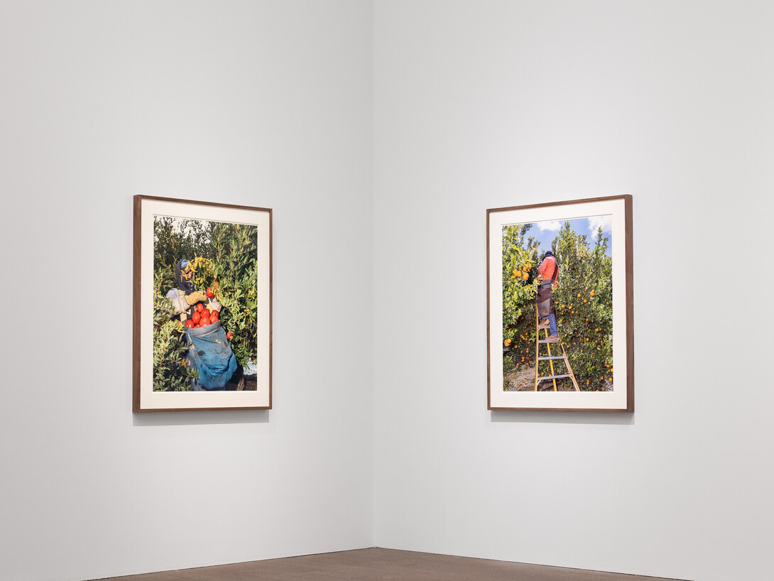 About place: bay area artists from the Svane gift | Meer