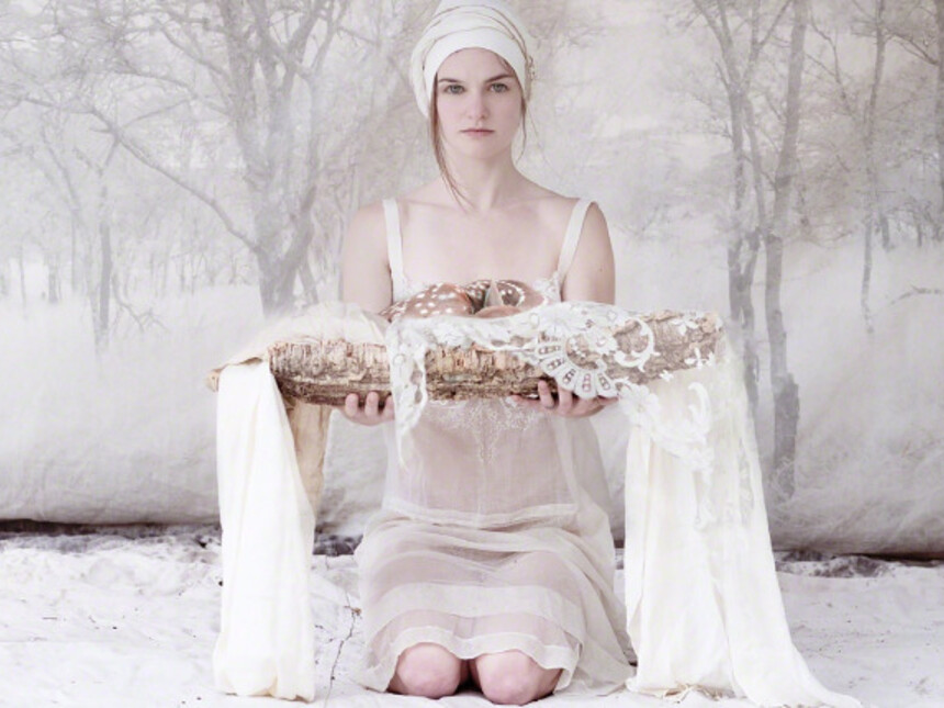 Flight Behavior | Meer