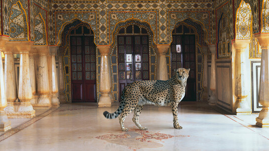 Intersections | Meer