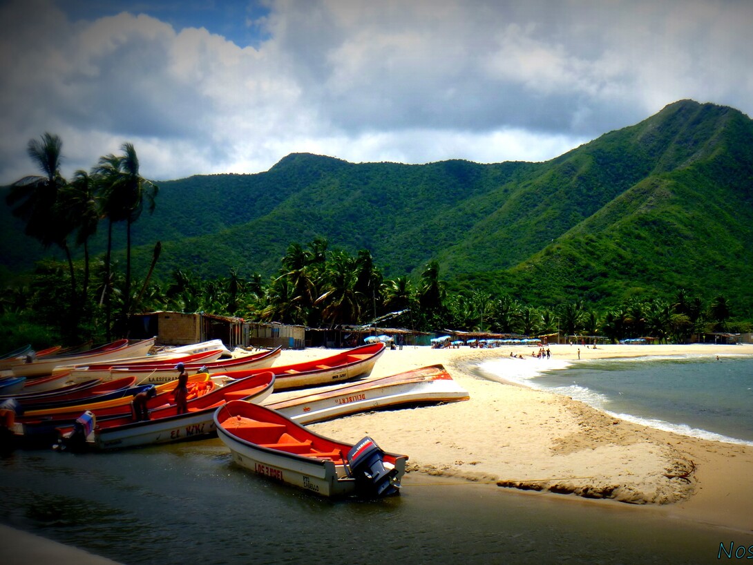 Chuao, un paraíso costero | Meer