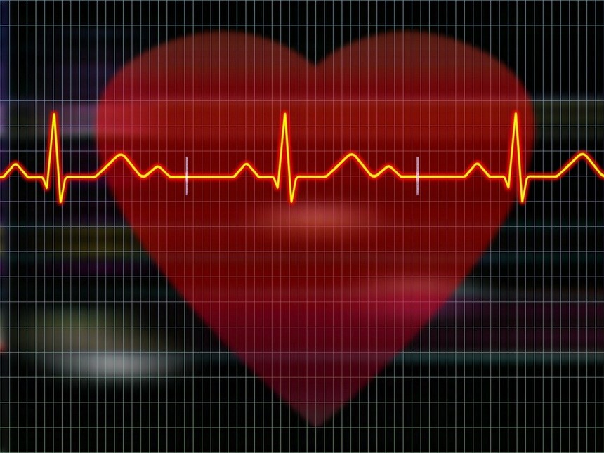 Conoscere e curare il cuore | Meer