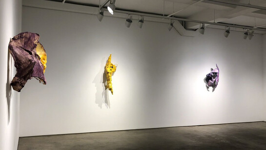 James Biederman | Meer