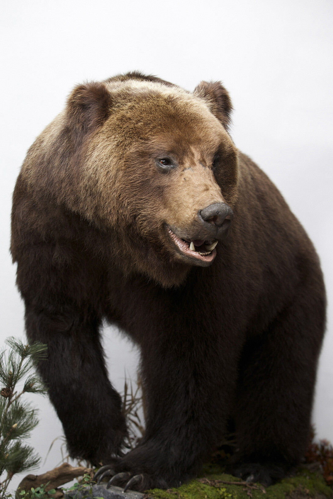 Siberia: At the Edge of the World | Meer