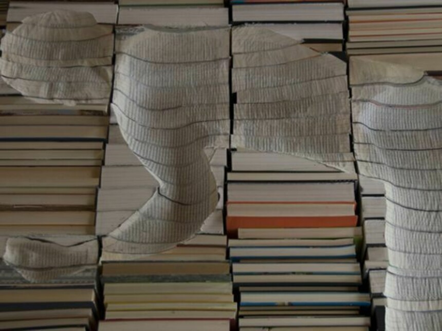 Marco Cordero | Meer