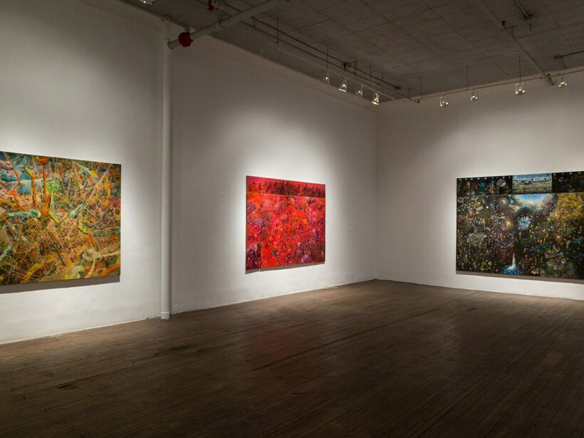 Cameron Hayes | Meer