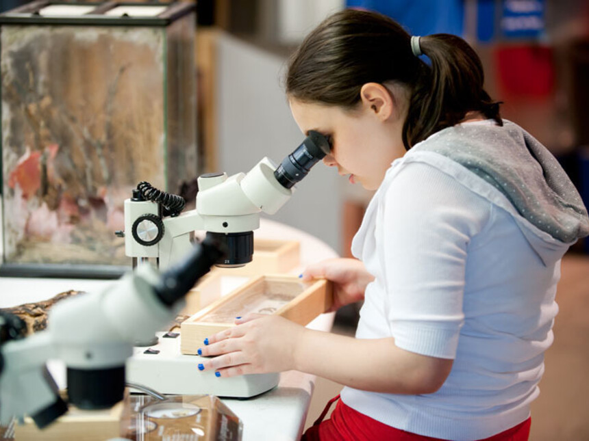 Nature Exchange Program | Meer