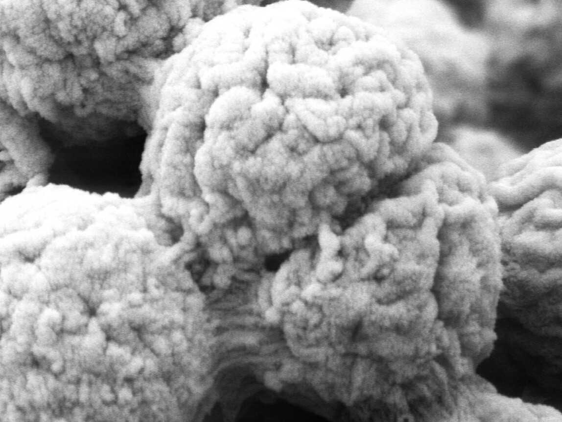 Mastering SEM: advanced imaging techniques and applications | Meer