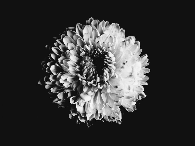 The mattering map | Meer