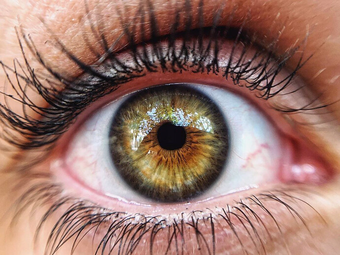 La mentira no está en la mirada | Meer