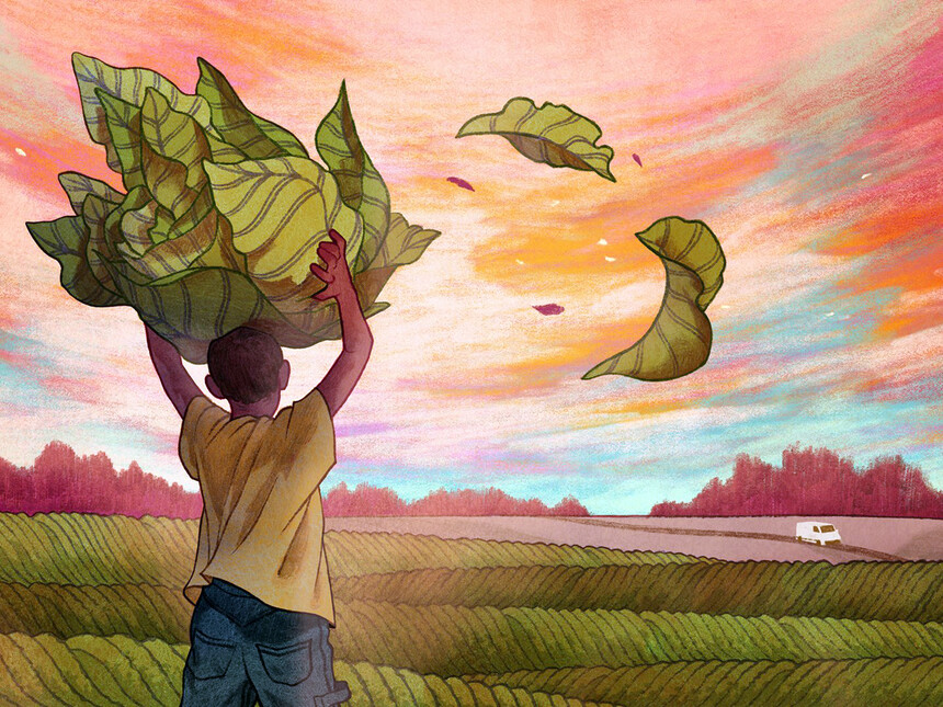 The Origin Story of Migrant Rights | Meer