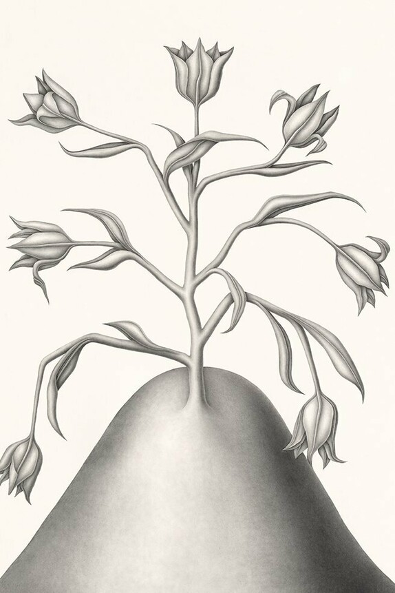 Devra Fox. In orbit | Meer