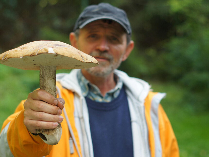 Comida do futuro | Meer