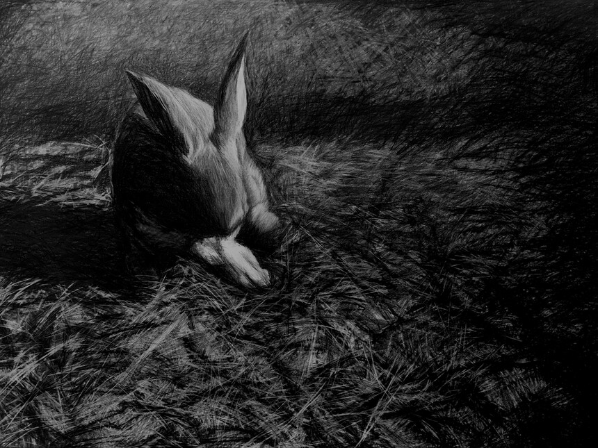 Angus-Hughes Gallery