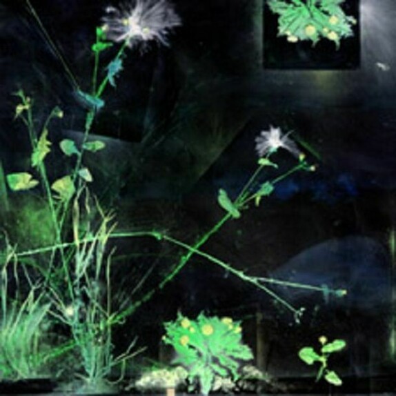 Kelly Barrie. Parallel Play | Meer