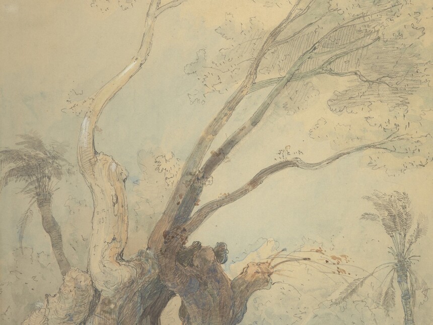 David Roberts, The Holy Tree of Materia 1839, Pencil and watercolour ...