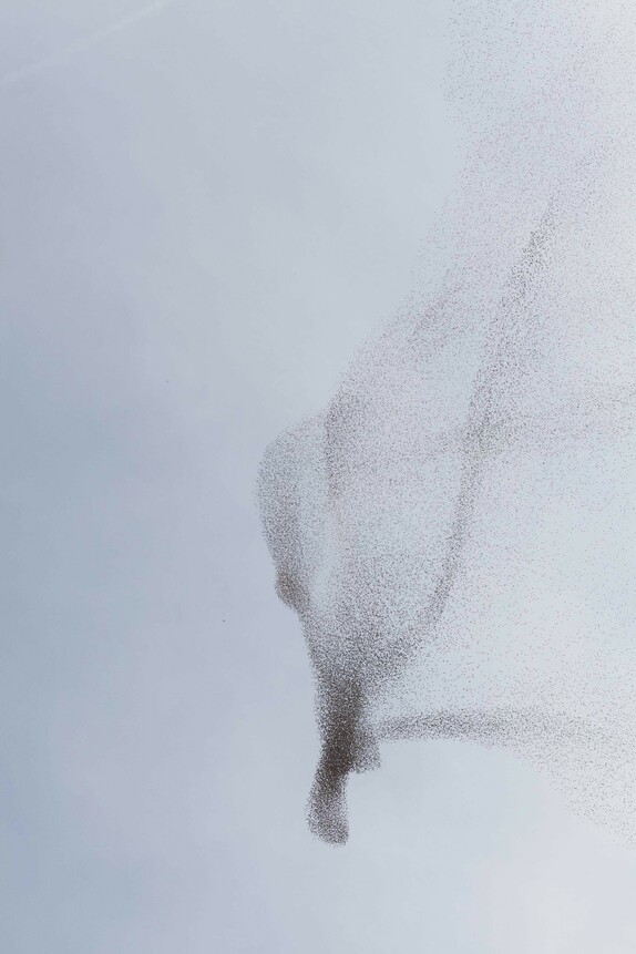 Daniela Friebel | Meer