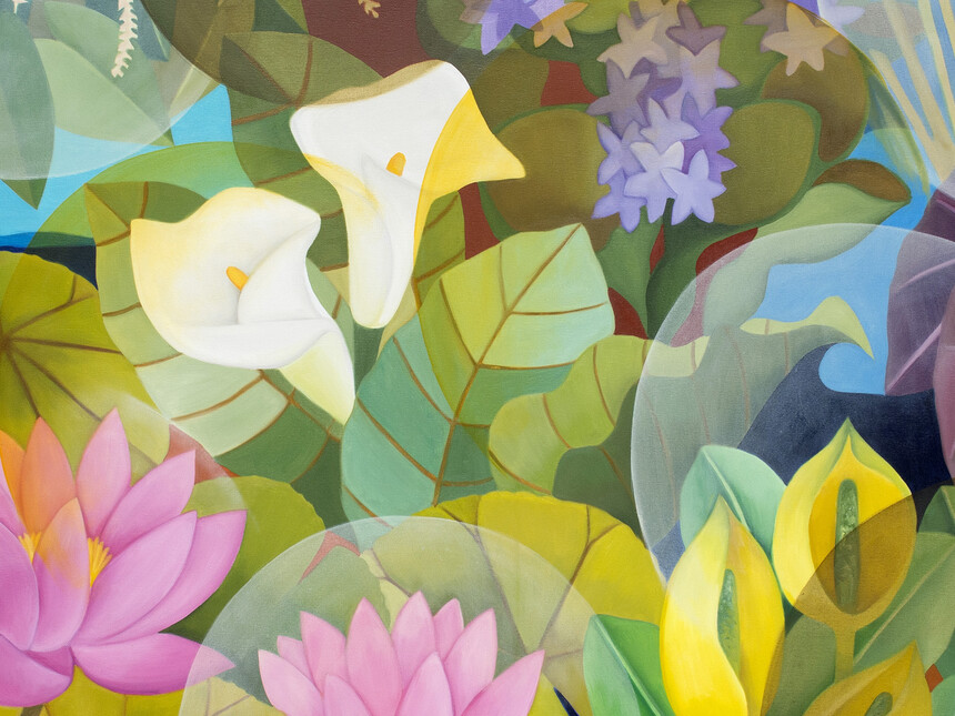 Senaka Senanayake | Meer