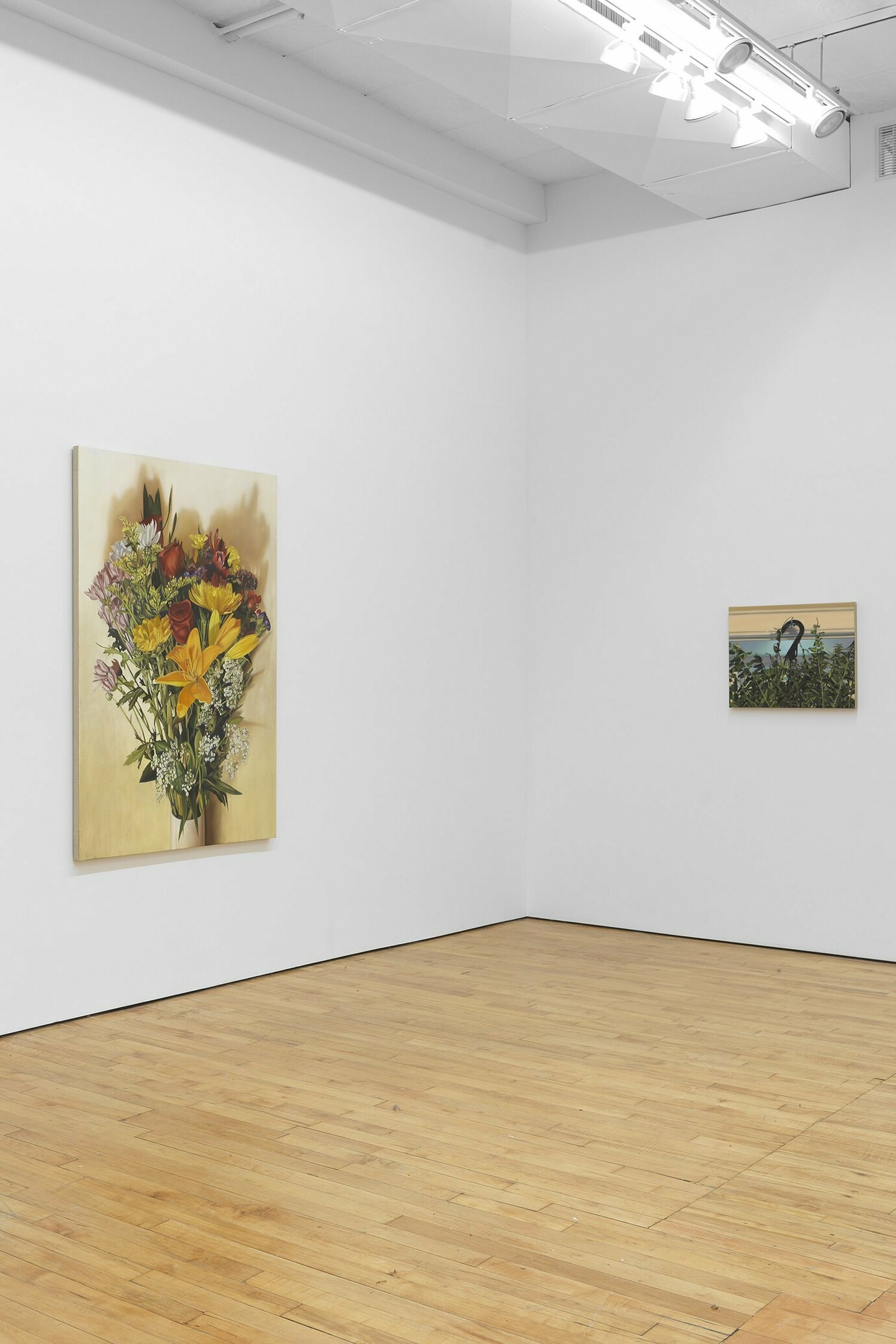 Cait Porter. Circle the drain | Meer