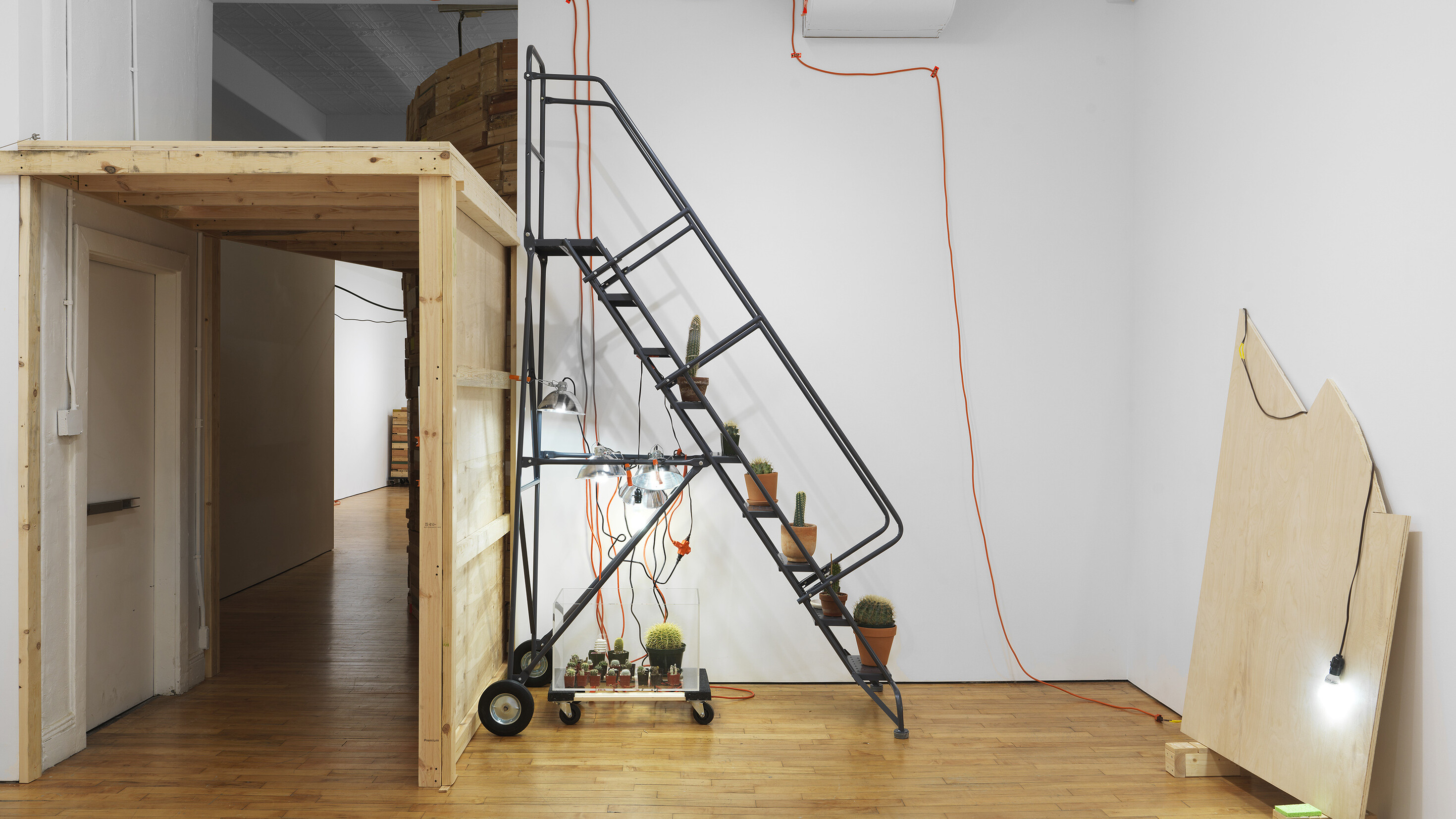 Phoebe Washburn. Giving good fwar gwaar | Meer