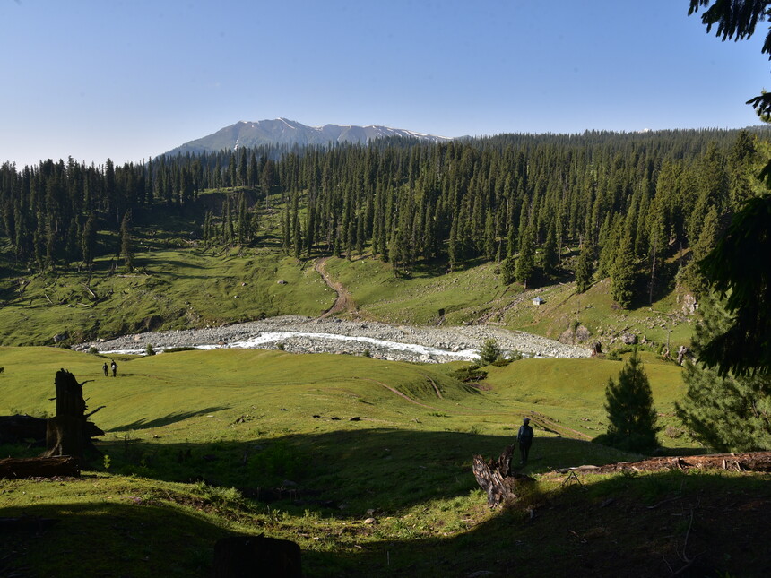 Non-violent Resistance in a Conflict Zone | Meer