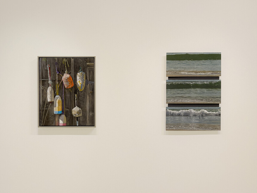 Steve Mills. Reflections and shadows | Meer