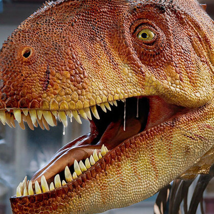 Transfiguration | Meer