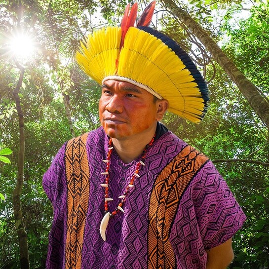 Los señores del rayo | Meer