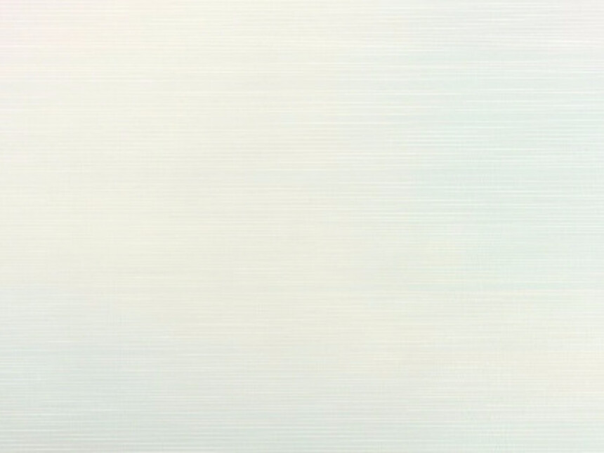 Steven MacIver | Meer