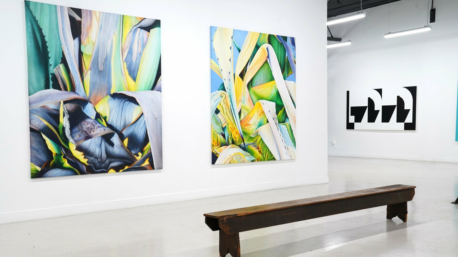 Adele Renault & Chad Hasegawa. Here now, now here | Meer