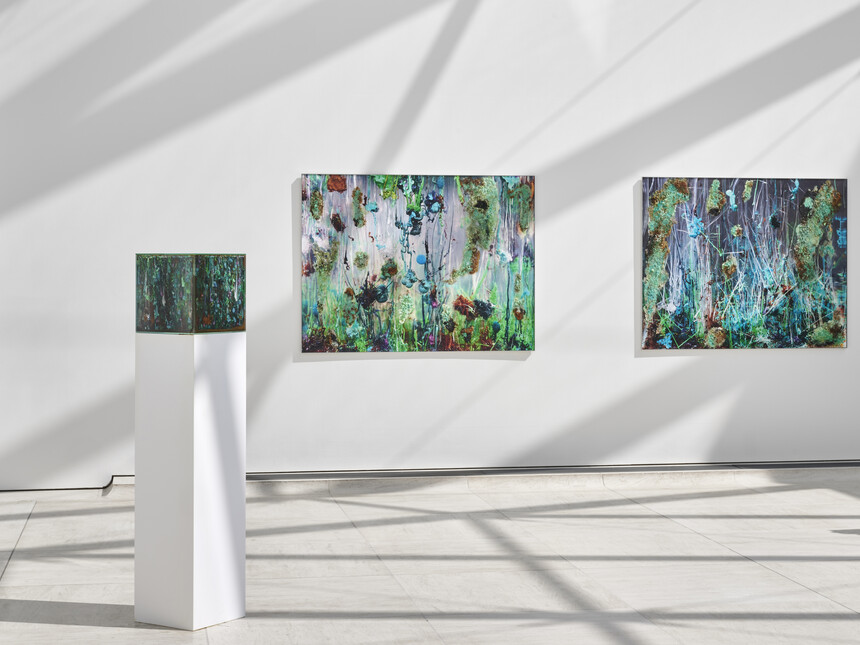 Risk landscape | Meer