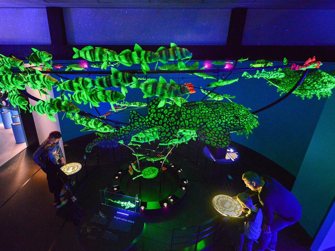 Unseen Oceans | Meer