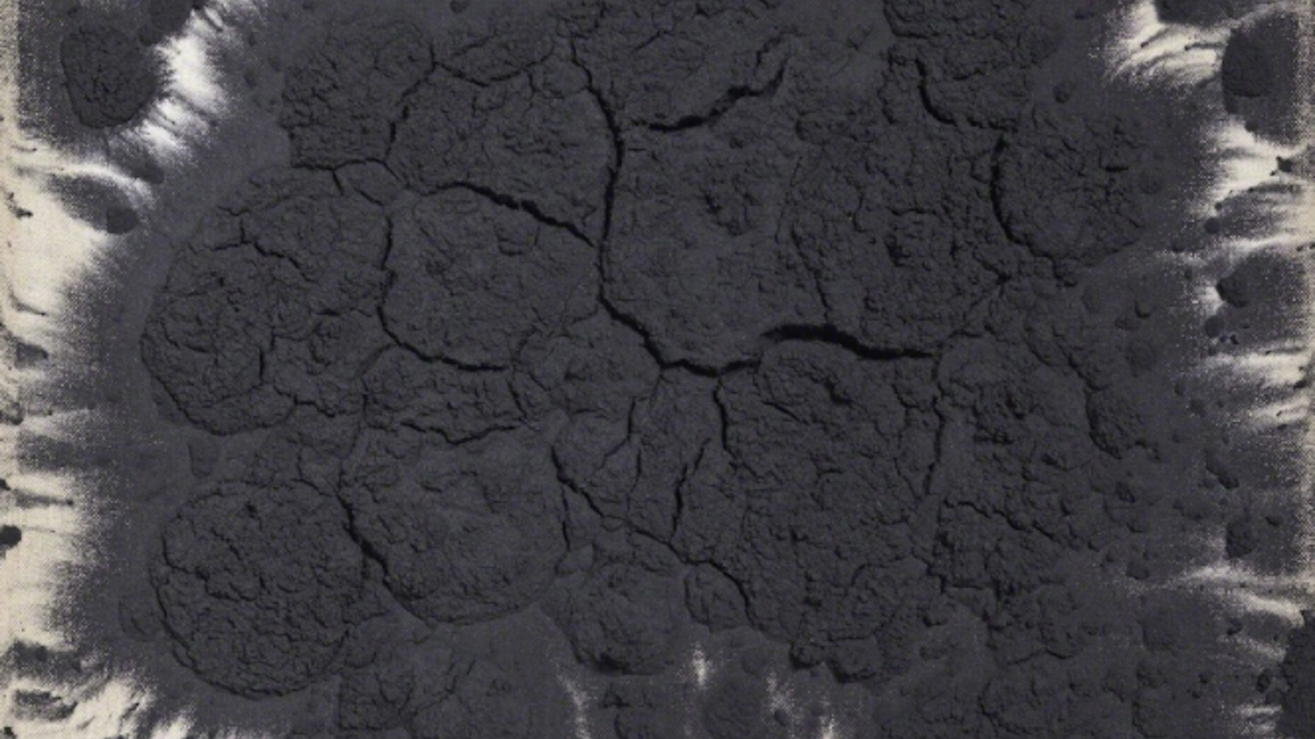 Saecula Saeculorum | Meer