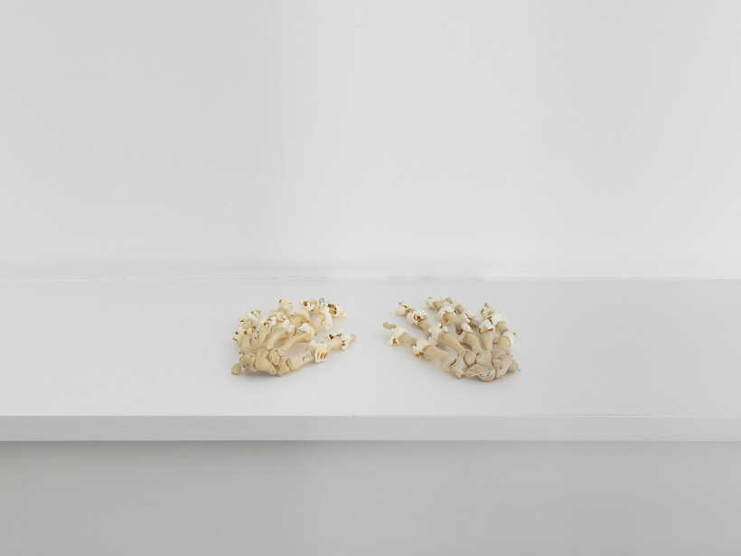 Michael E. Smith | Meer