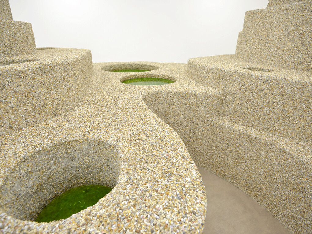 Rachael Champion. Primary Producers | Meer