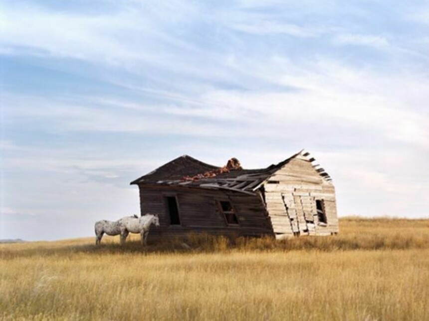 Richard Renaldi. This Grand Show | Meer