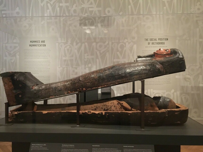 Mummies and Medicine | Meer