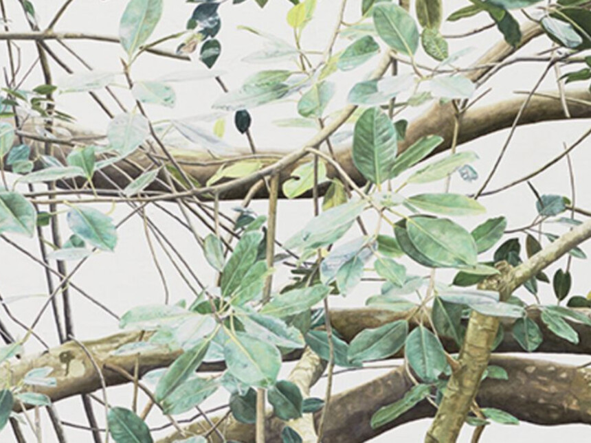 Resonating Spaces | Meer